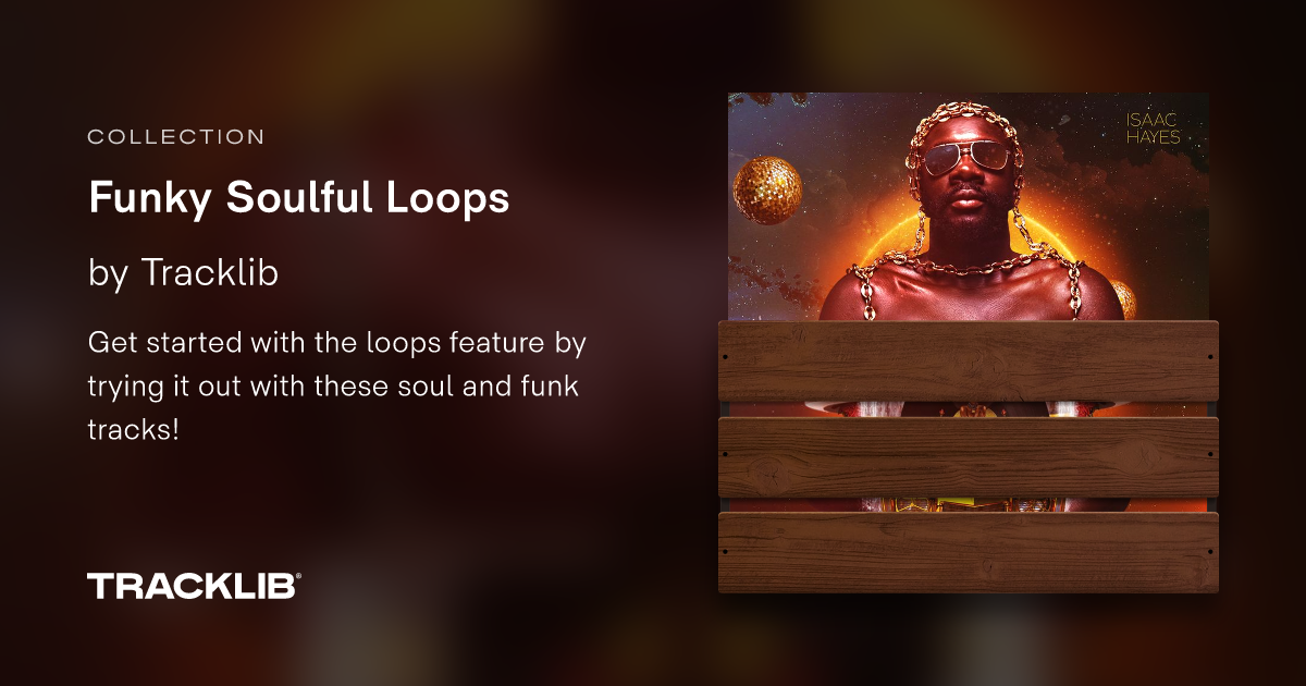 Funky Soulful Loops | TRACKLIB.COM