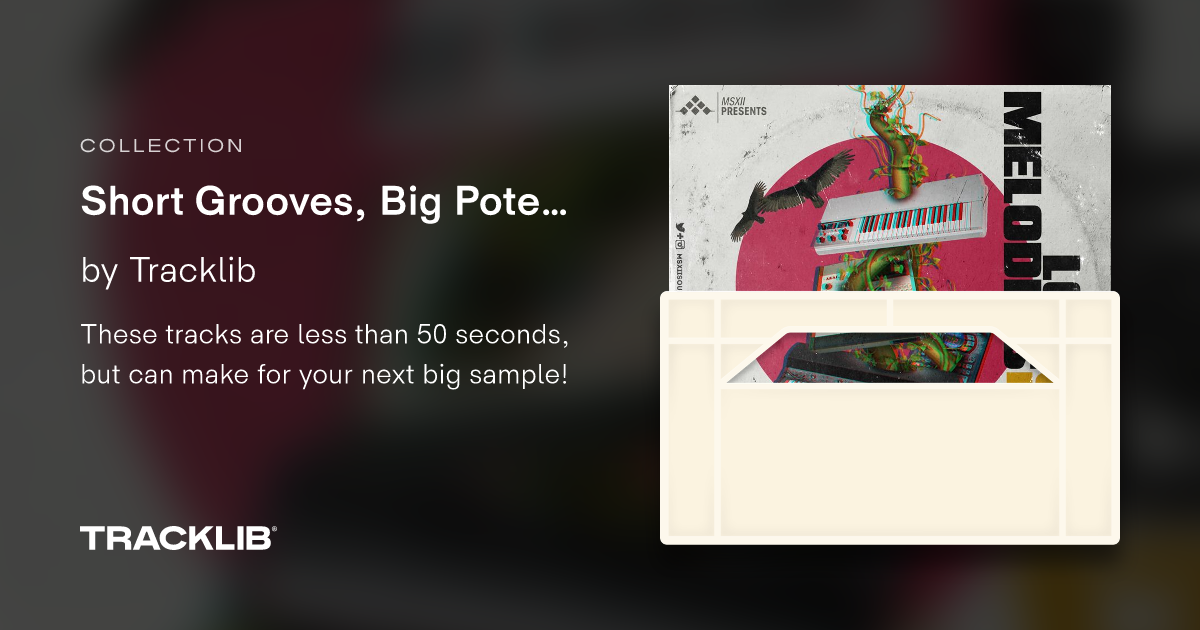 Short Grooves, Big Potential! | TRACKLIB.COM