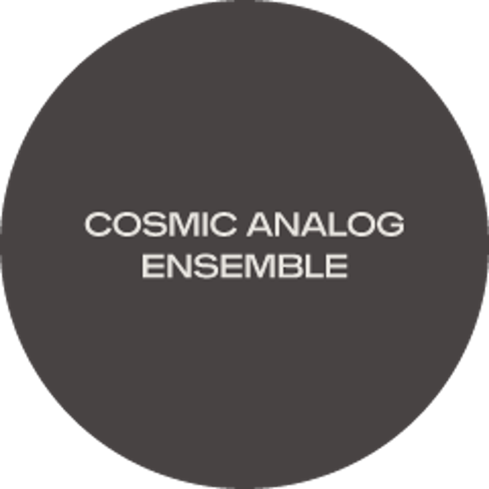 Cosmic Analog Ensemble | Tracklib.com