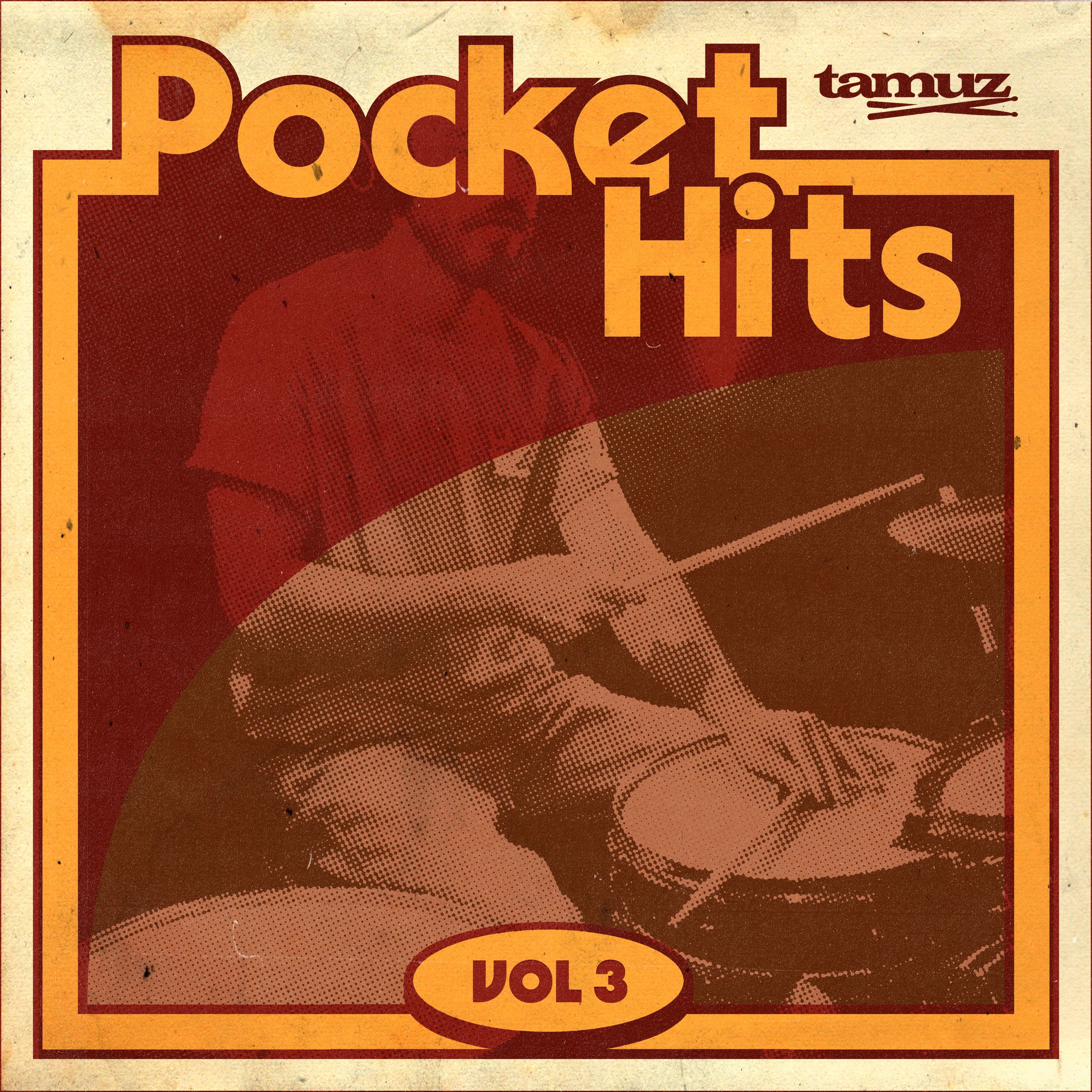Pocket Hits Vol.3 by Tamuz Samples | TRACKLIB.COM