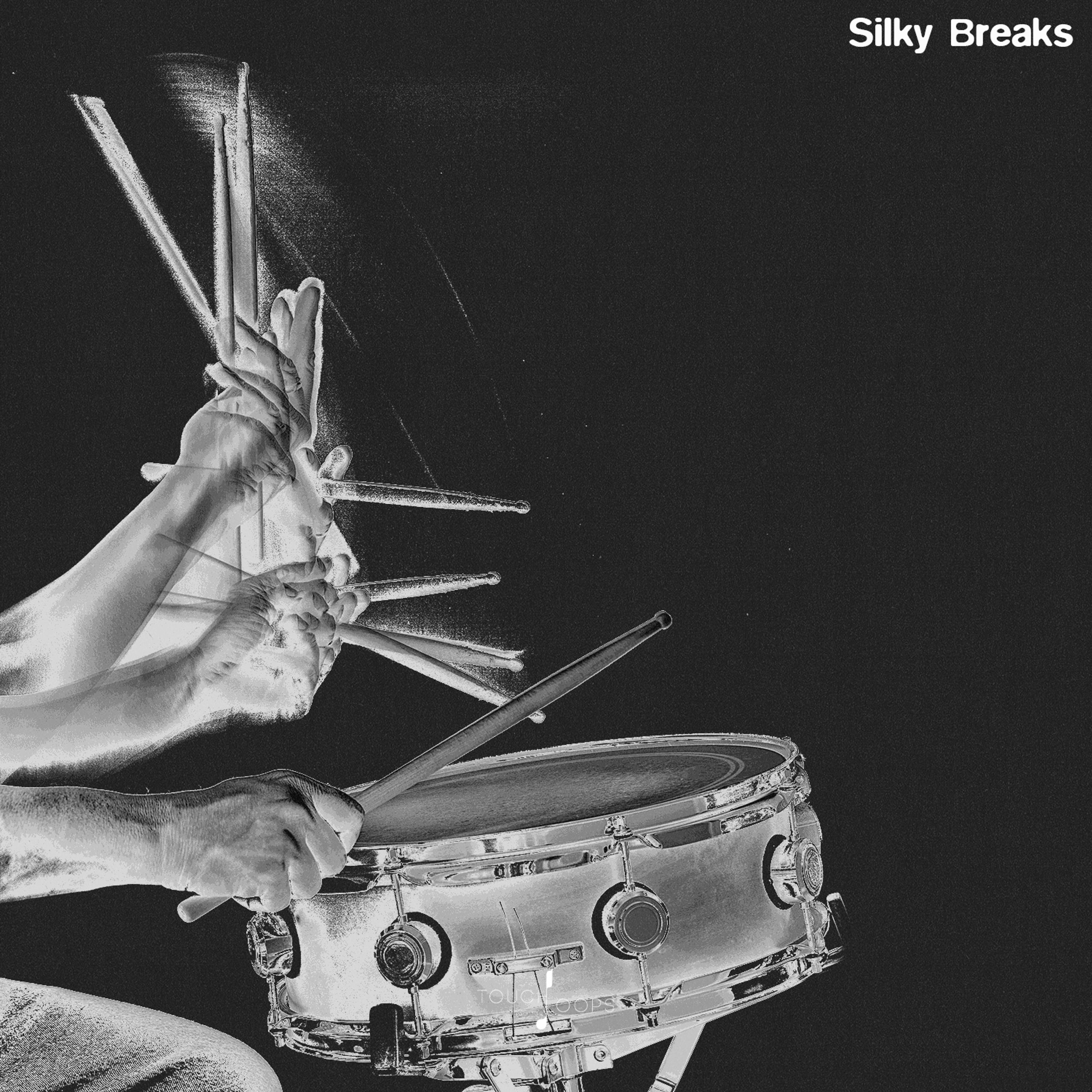 Silky Breaks by Touch Loops | TRACKLIB.COM