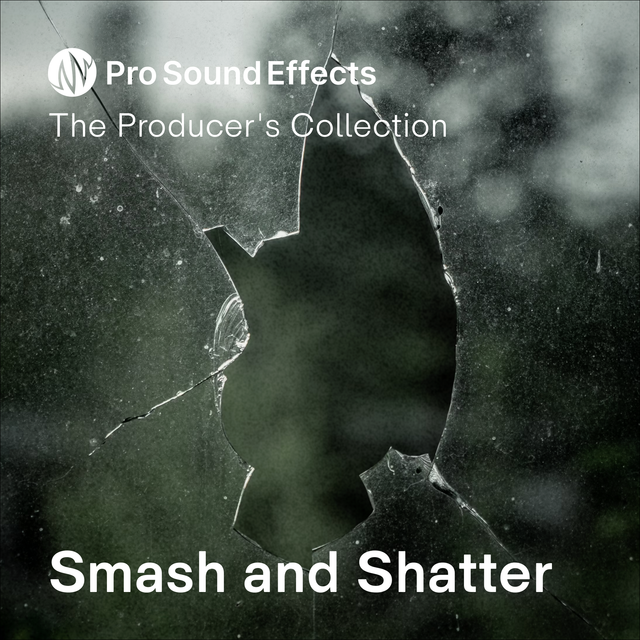 Sample Packs | Tracklib