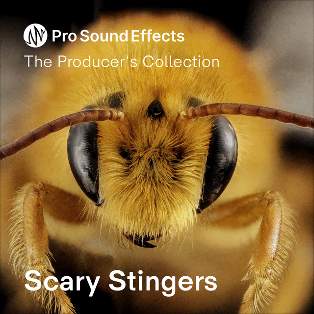 Sample Packs | Tracklib