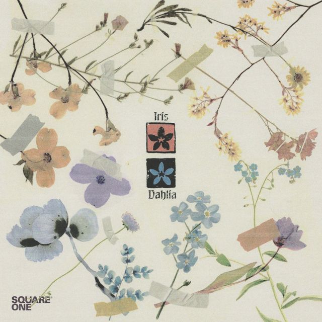 Sample Packs | Tracklib