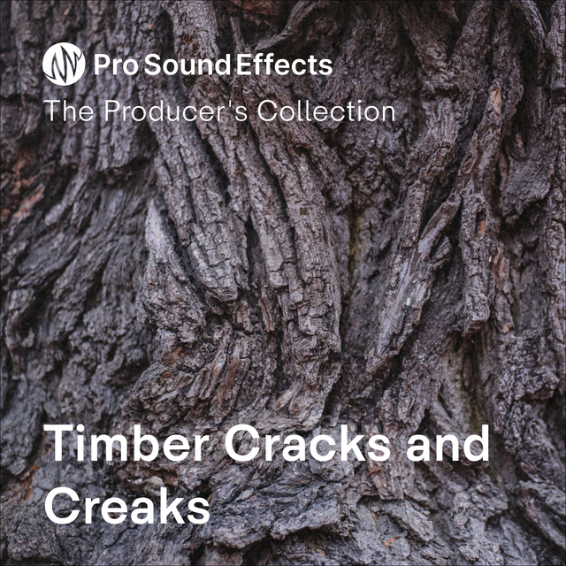 Sample Packs | Tracklib